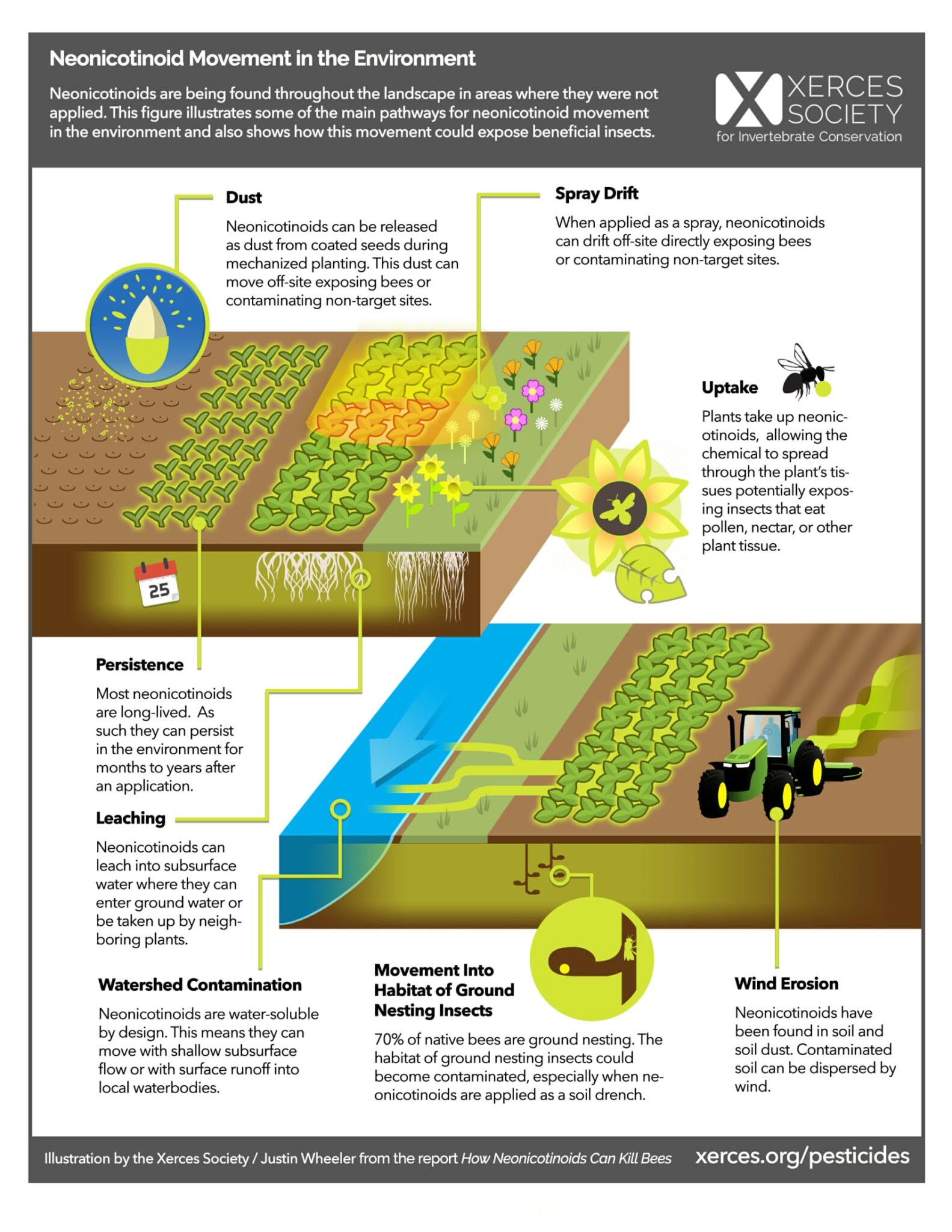 Unpacking the standards: Pesticide exposure routes ⋆ Bee Better Certified®