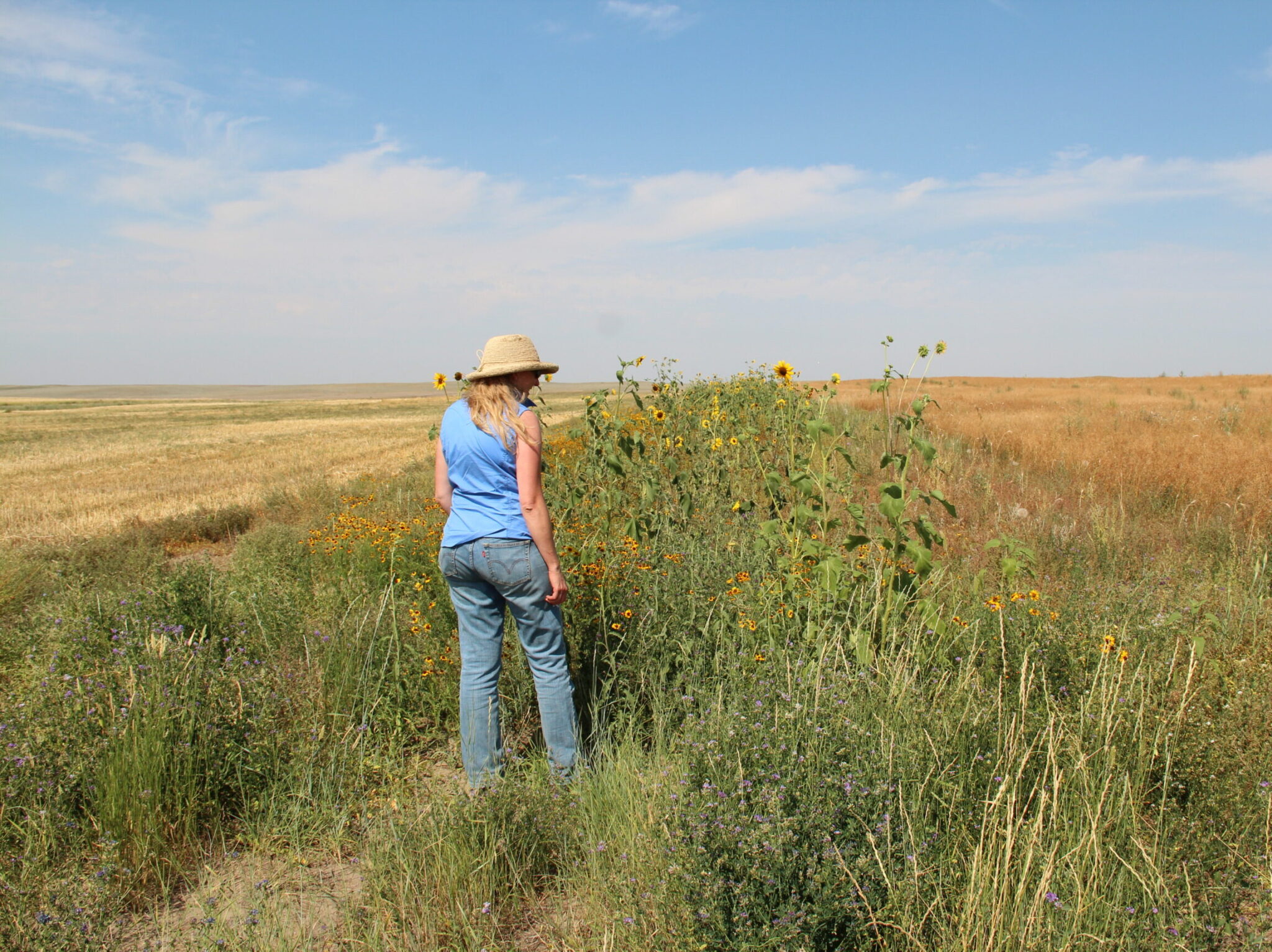 Habitat Cost Estimator ⋆ Bee Better Certified®