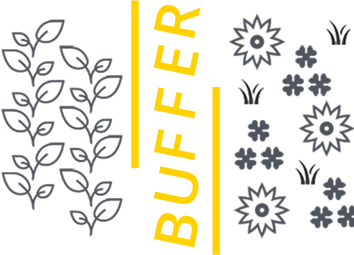 Why Shop Bee Better ⋆ Bee Better Certified®