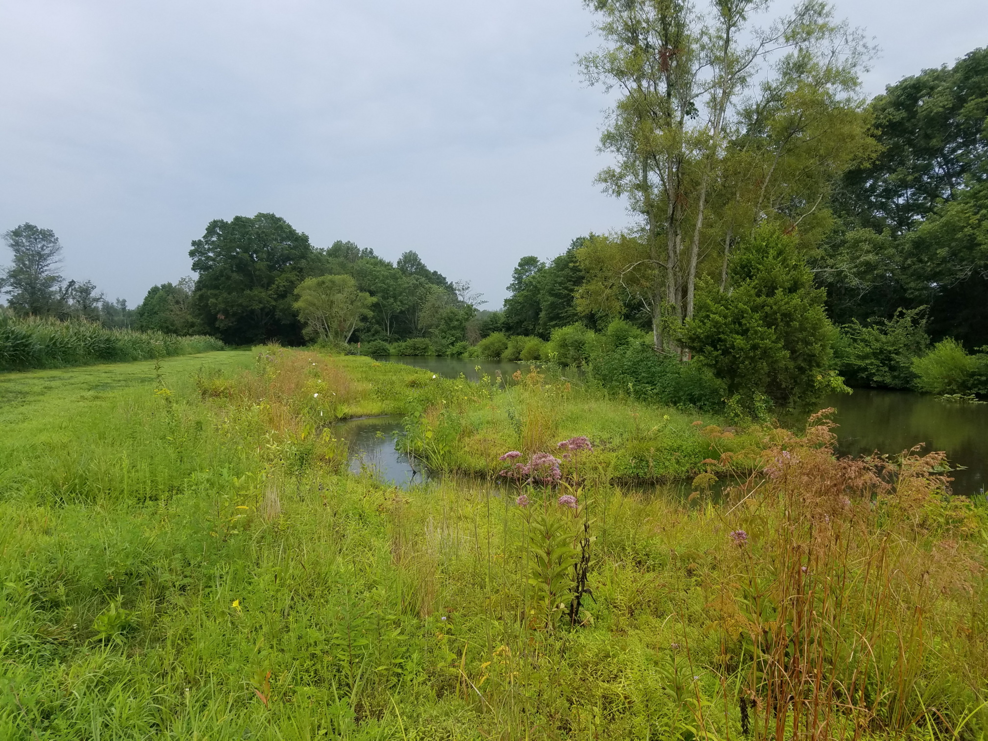 Intrinsically Linked: Why Climate-Smart Agriculture Must Not Neglect ...